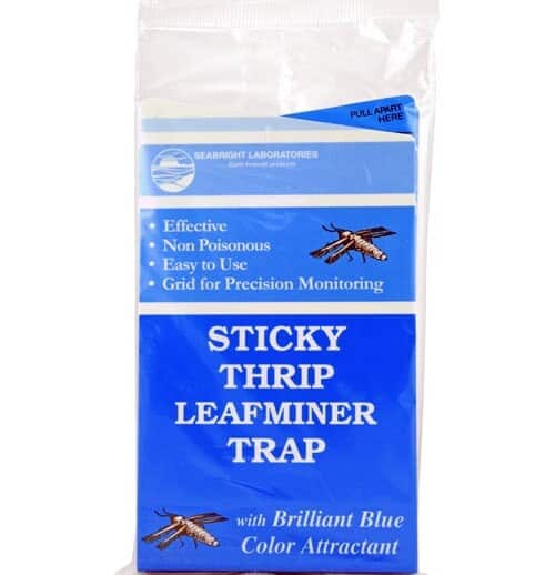 Blue Sticky Traps (5pk) | Planet Natural