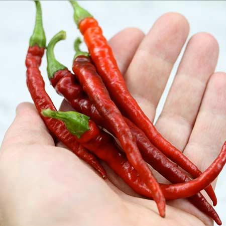 Cayenne Pepper Sweet Seeds