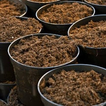 Growing Media | Planet Natural