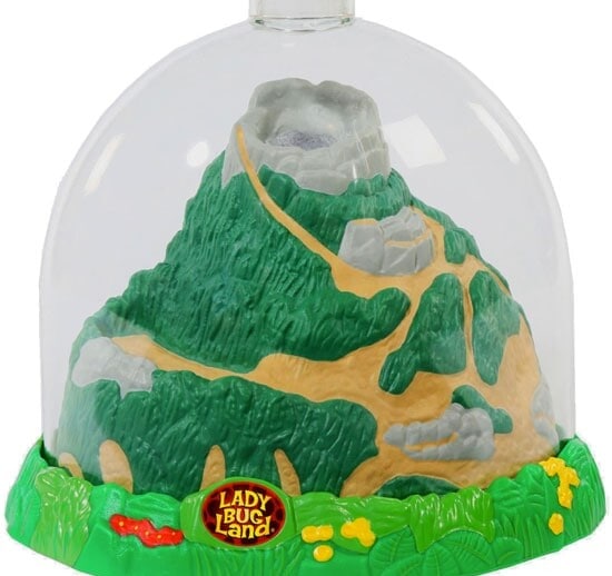 Ladybug Land: Live Kit by Insect Lore | Planet Natural