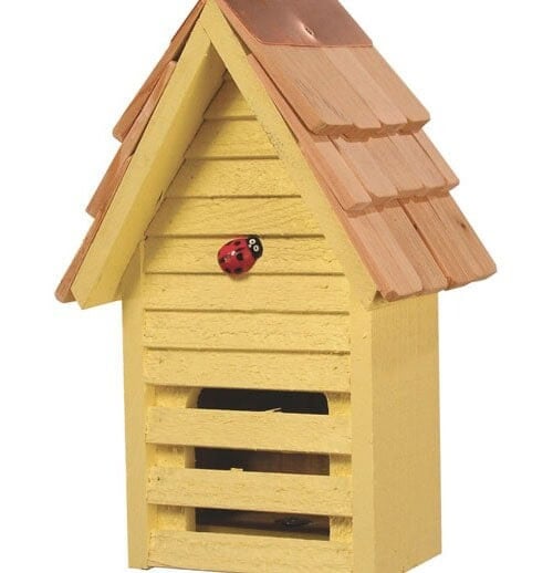Buy Ladybug Houses Online (Free Shipping!) | Planet Natural