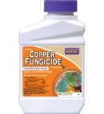 Liquid Copper Fungicide by Bonide (16oz) | Planet Natural