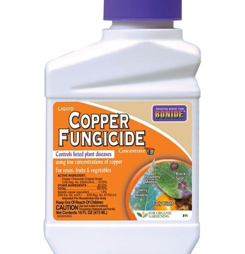 Liquid Copper Fungicide by Bonide (16oz) | Planet Natural