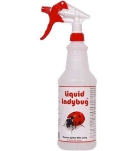 Liquid Ladybug Spider Mite Spray (32oz) | Planet Natural