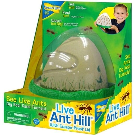 Live Ant Hill Habitat by Insect Lore | Planet Natural