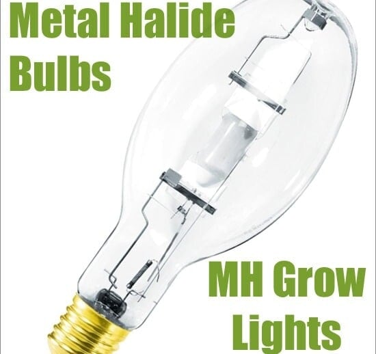 MH Lamps - Metal Halide Light Bulbs (4000K) | Planet Natural
