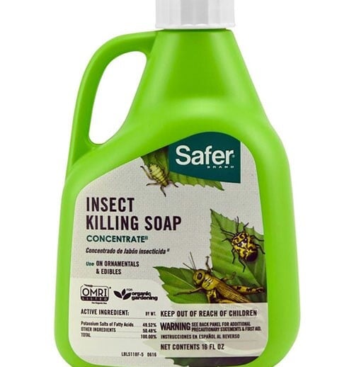 Insecticidal Soap by Safer Brand | Planet Natural