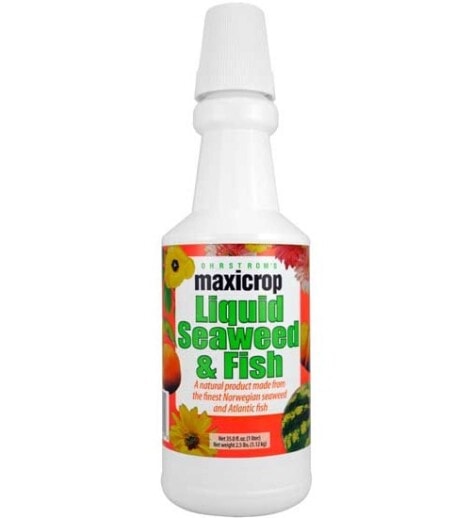 Liquid Seaweed & Fish Fertilizer by Maxicrop | Planet Natural