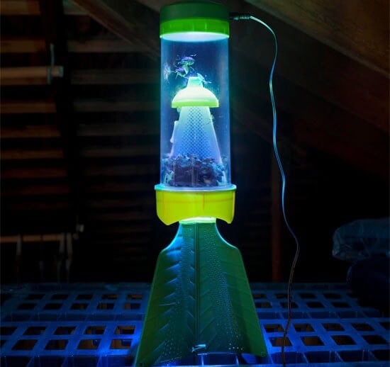 Stink Bug Light by RESCUE | Planet Natural