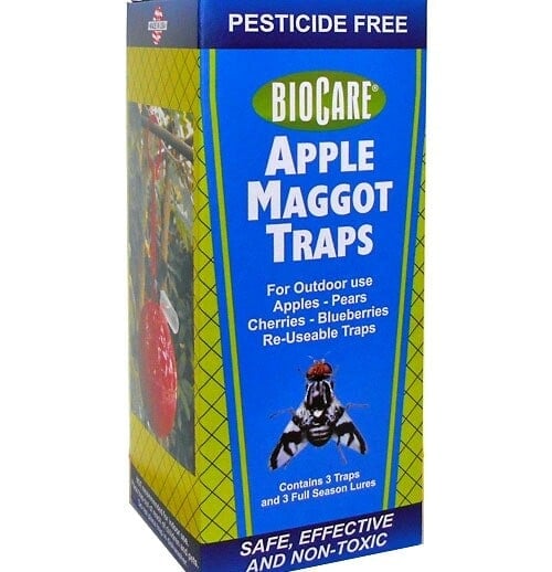 Apple Maggot Trap Kit w/ Lures (3pk) | Planet Natural