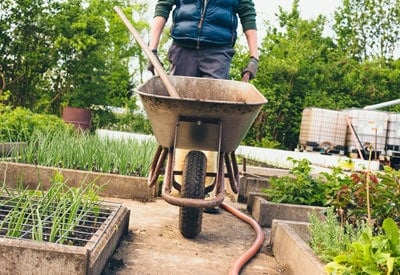 Homemade Fertilizer Recipes | Planet Natural