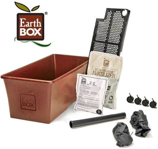 Tomato Gardening 101: What's the Best Soil for Tomatoes?