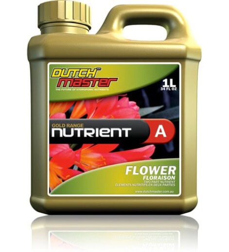 Dutch Master Gold Flower (A & B) | Planet Natural