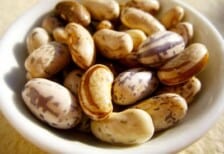 Shell Beans: Planting, Growing and Harvesting | Planet Natural
