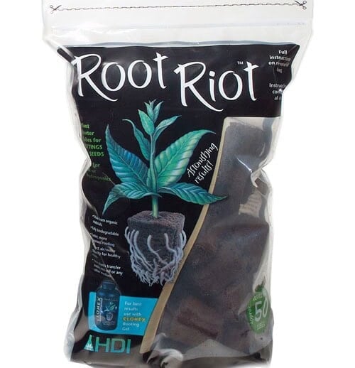 Root Riot Cubes/ Plugs (50ct) | Planet Natural