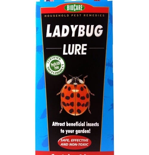 Ladybug Lure by BioCare (4pk) | Planet Natural
