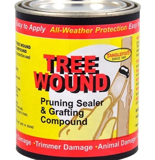 Tree Wound Sealer & Grafting Compound by Tanglefoot | Planet Natural
