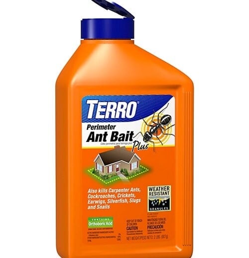 TERRO Perimeter Ant Bait Plus (2lb) | Planet Natural