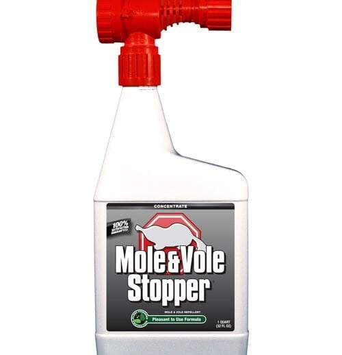 How to Get Rid of Moles in Your Yard Easily (Top 9 Methods)