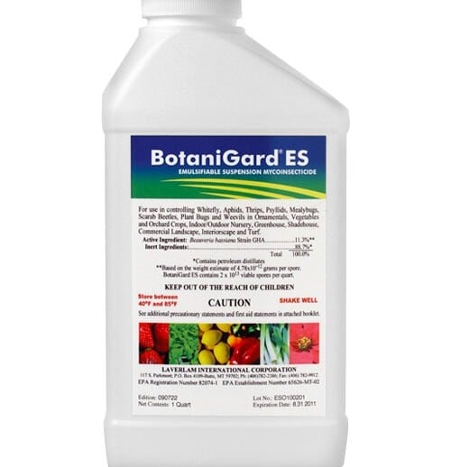 BotaniGard ES Biological Insecticide (Beauveria bassiana) | Planet Natural