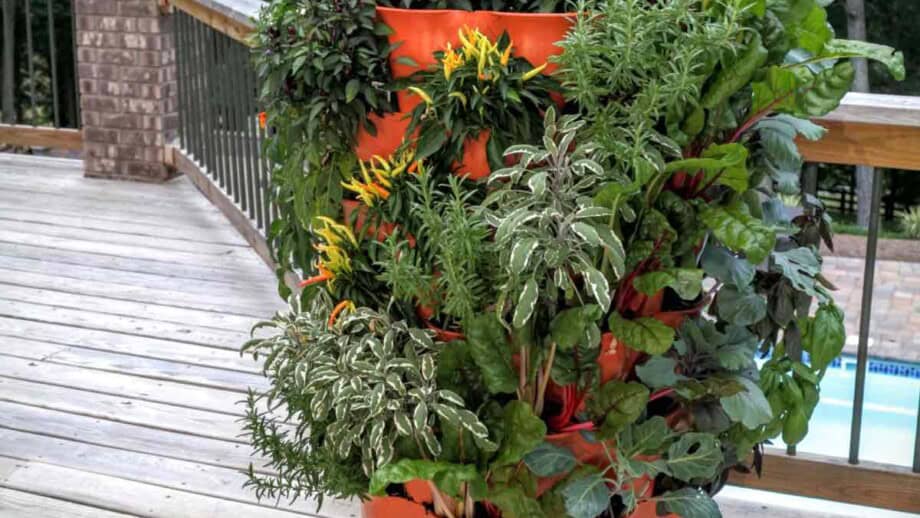 Complete Garden Tower Project Review: Should You Buy It?