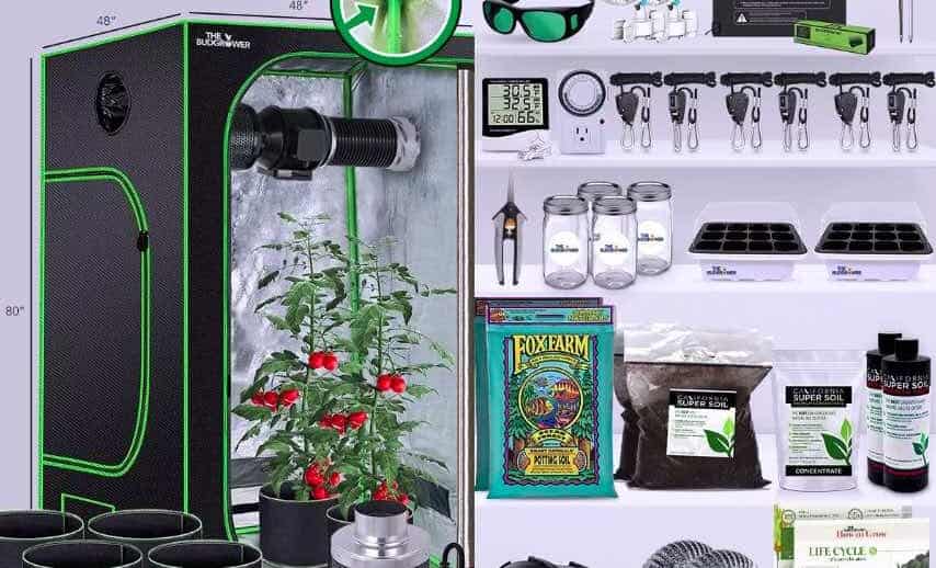 Best Grow Tent Kits in 2023 (Complete Buying Guide)