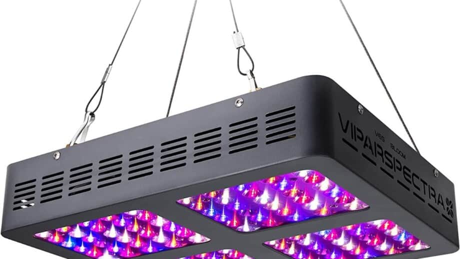 The Best LED Grow Lights in 2023 + How to Pick the Right One