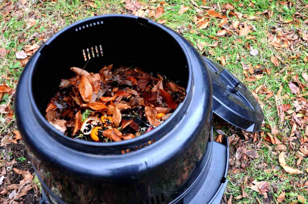 How to Compost at Home: Step by Step Guide for Beginners