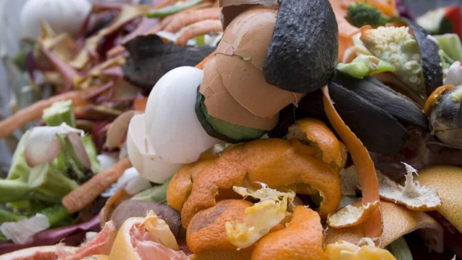 How to Compost at Home: Step by Step Guide for Beginners