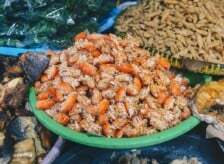 Sand Fleas: What Exactly Are They and Do They Bite?