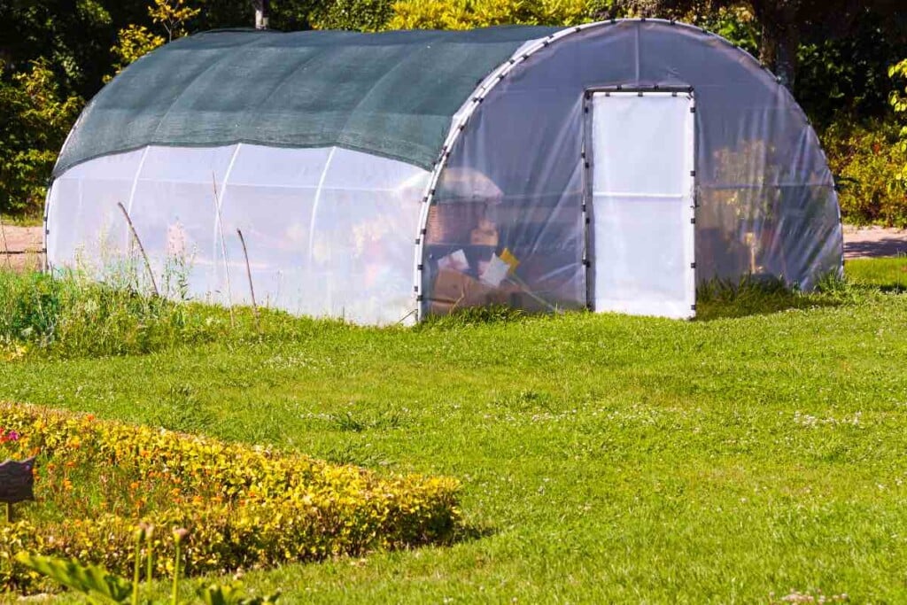 13 Free DIY Greenhouse Plans (By Type of Greenhouse)