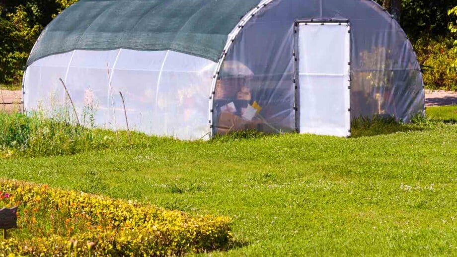 13 Free DIY Greenhouse Plans (By Type of Greenhouse)