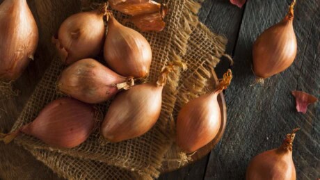 Shallots: What Are They, and How to Plant and Grow Them