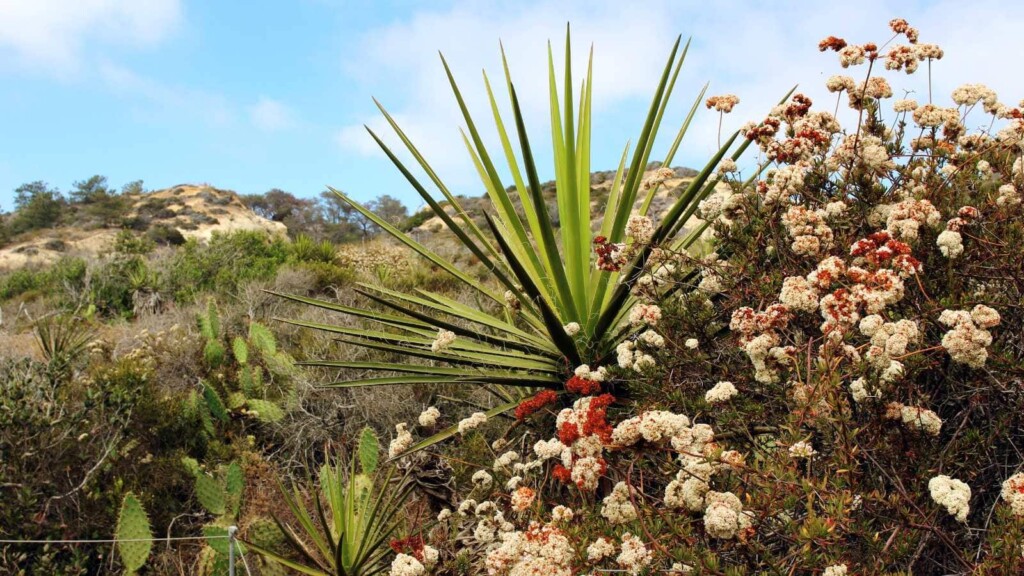 Gardening for a Greener Planet: 10 Eco-Friendly Techniques You Need to ...