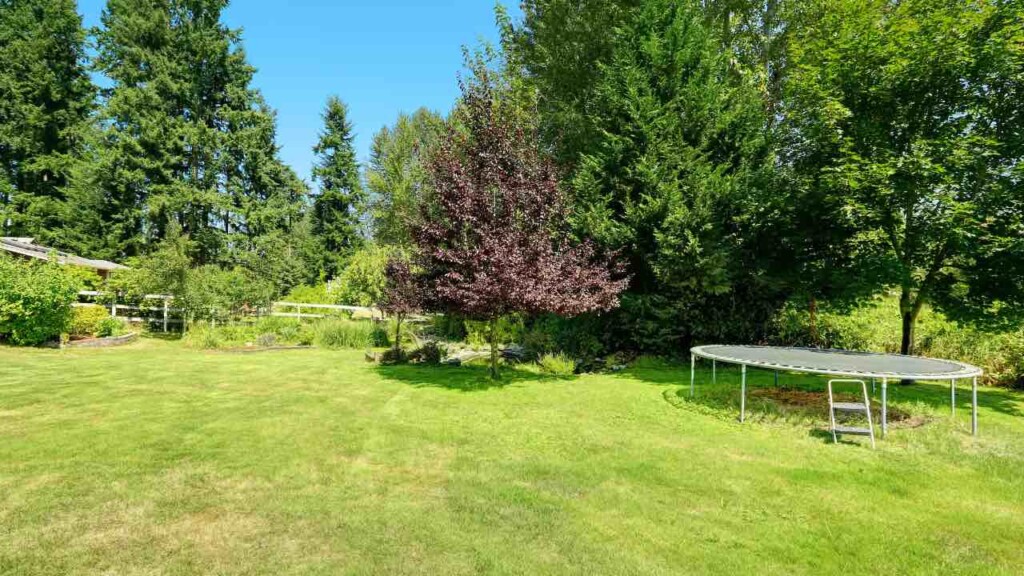 10 of the Absolute Worst Garden / Back Yard Trends of All Time