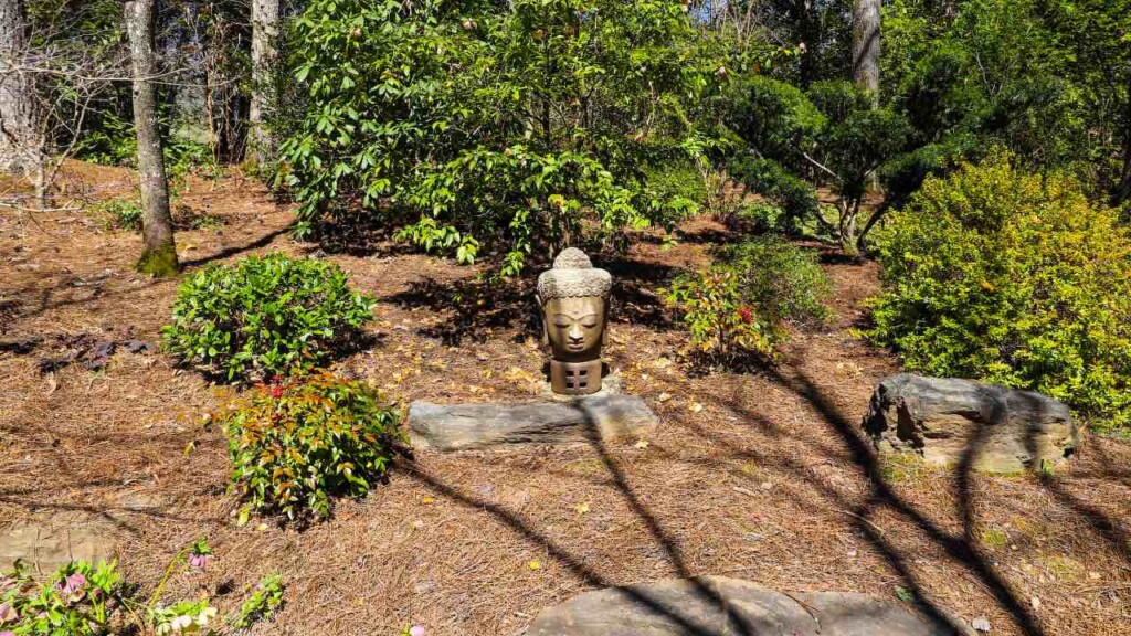 10 of the Absolute Worst Garden / Back Yard Trends of All Time