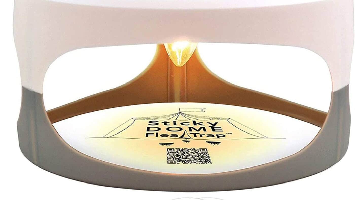 Complete Guide to Bed Bug Traps (+ 3 Best Ones in 2024!)