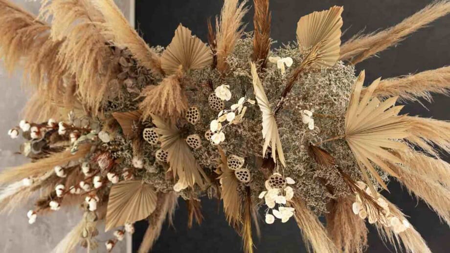 How to Grow and Care for Pampas Grass (Plus Decor Ideas!)