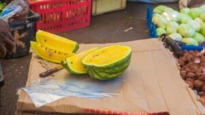 What is Yellow Watermelon? And How to Grow it Easily at Home