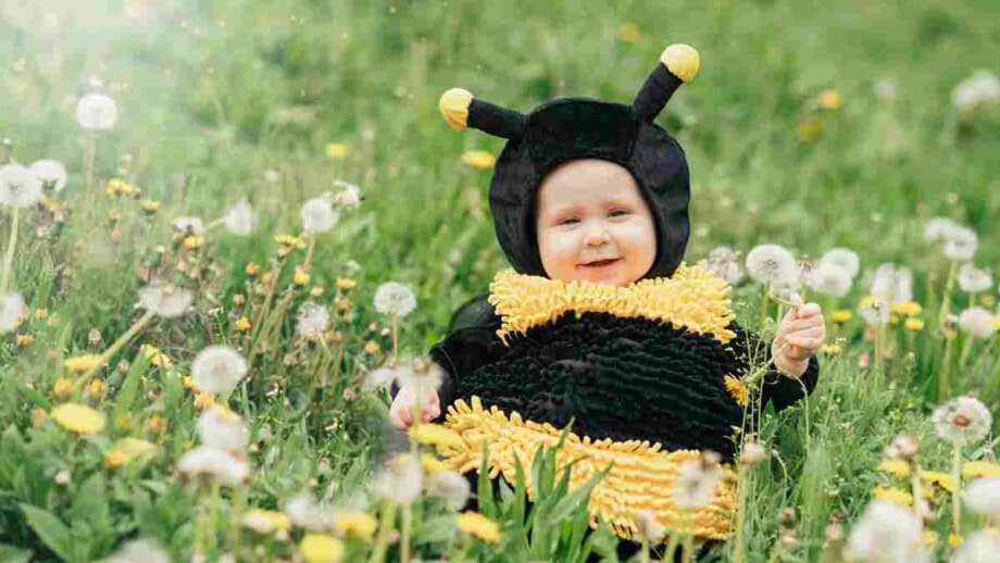 10 Simple Ways to Attract Bees to Your Garden (and Help Save the Planet)