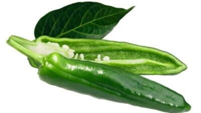 Anaheim Pepper: How to Plant, Grow, and Use Anaheim Peppers