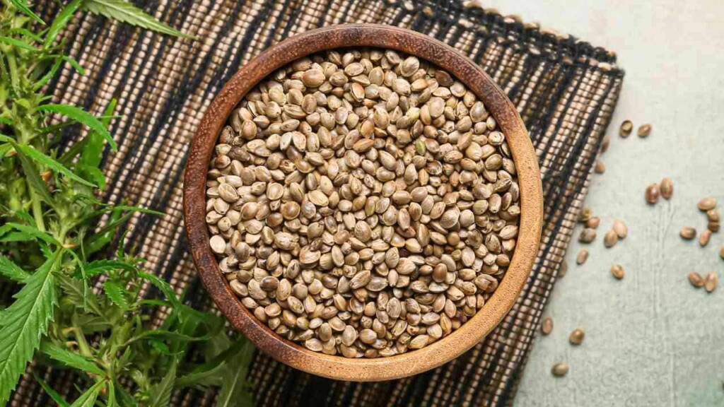 The Protein Paradox: How to Get All the Protein You Need Without Eating ...