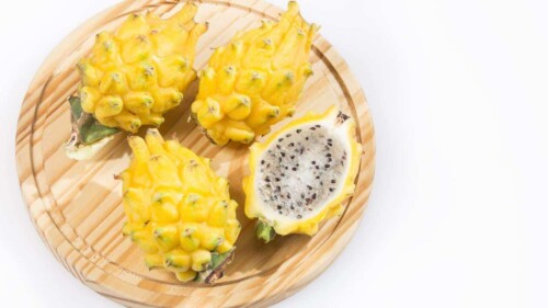 Dragon Fruit Plant Care: How to Grow Dragon Fruit (Pitaya)