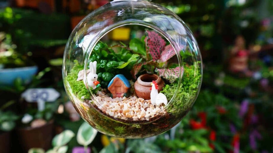 35 Best Terrarium Plants for a Lovely Indoor Garden of Any Size