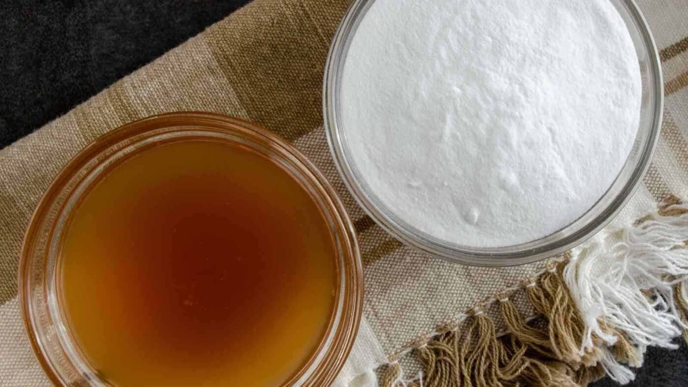 7 Easy DIY Mosquito Traps (Simple Homemade Mosquito Traps)
