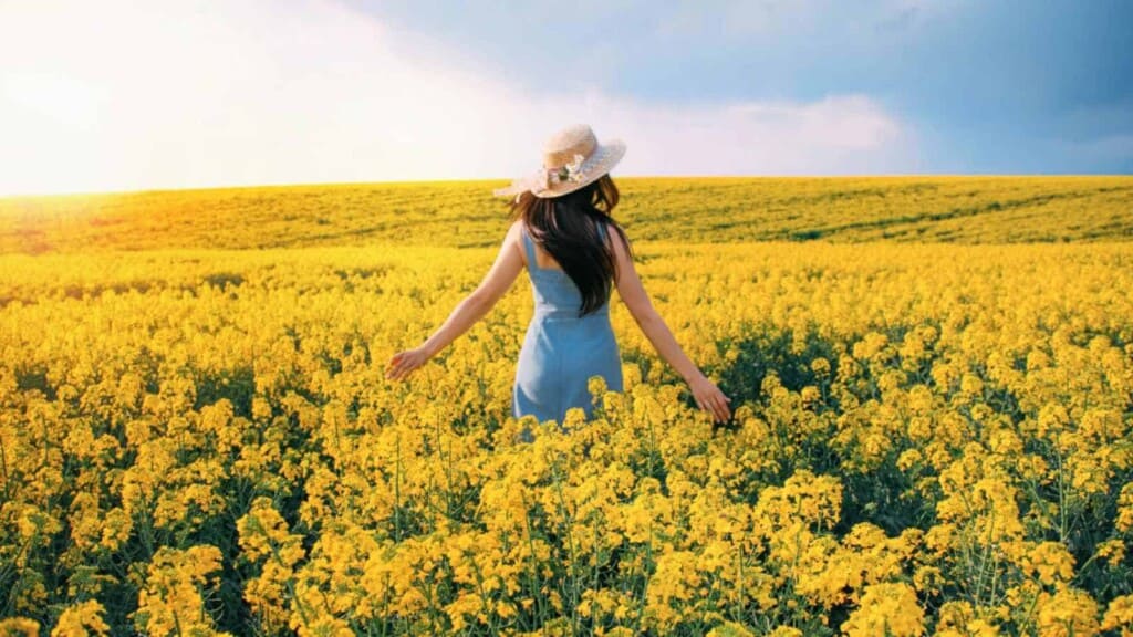 49 Best Yellow Flowers for Gardens (Annuals and Perennials) | Planet ...