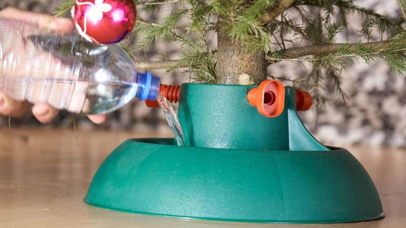 11 Secrets to a Hydrated and Happy Christmas Tree