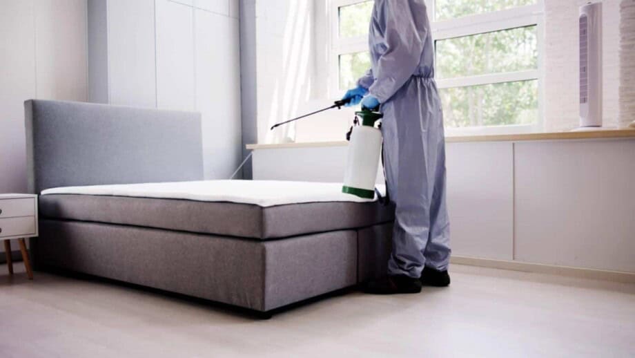 The 11 Best Bed Bug Spray of 2023 (And What to Look For)