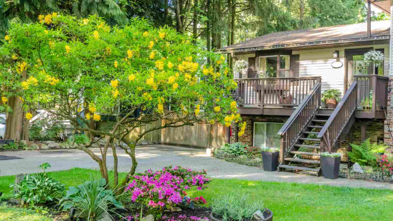 Landscape Like a Pro: 15 Landscaping Missteps and Fixes