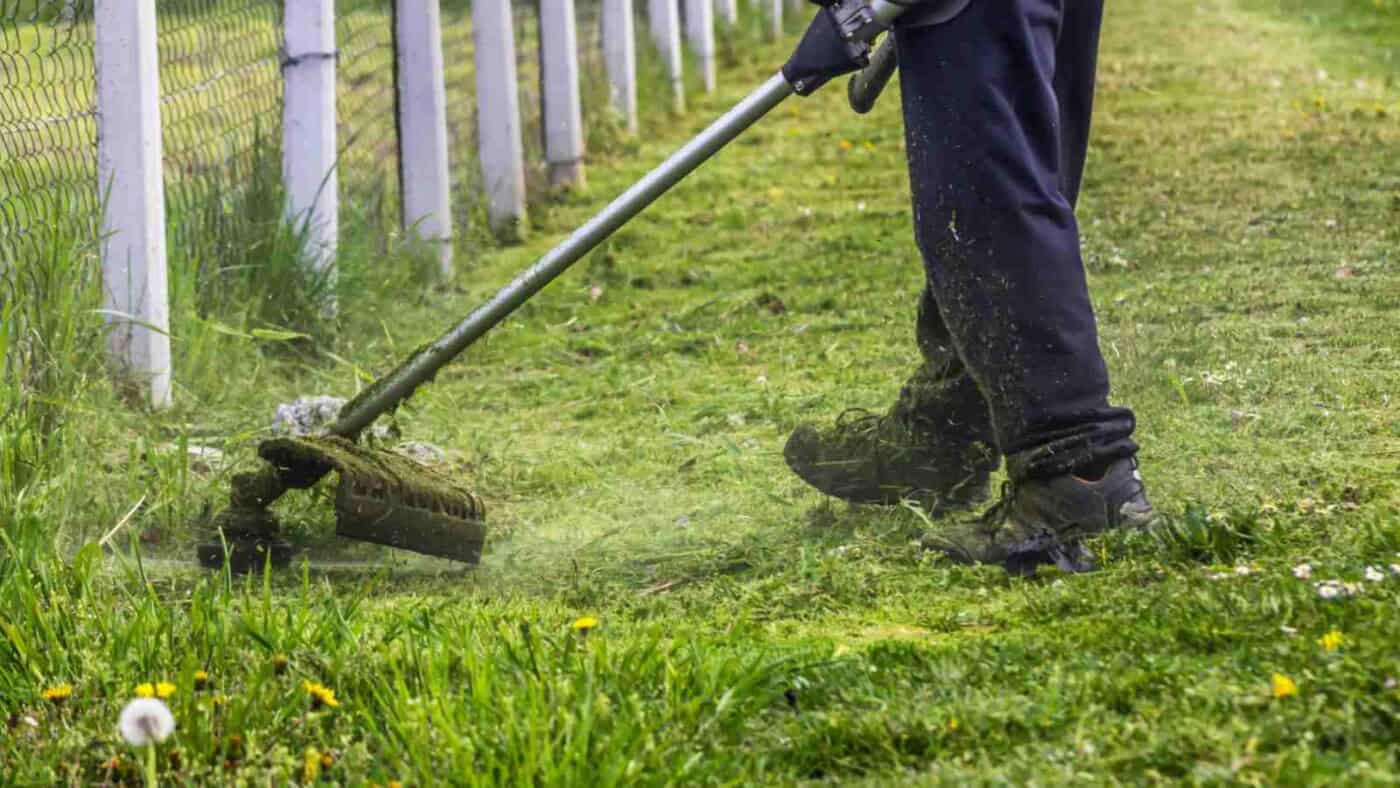 Landscape Like a Pro: 15 Landscaping Missteps and Fixes
